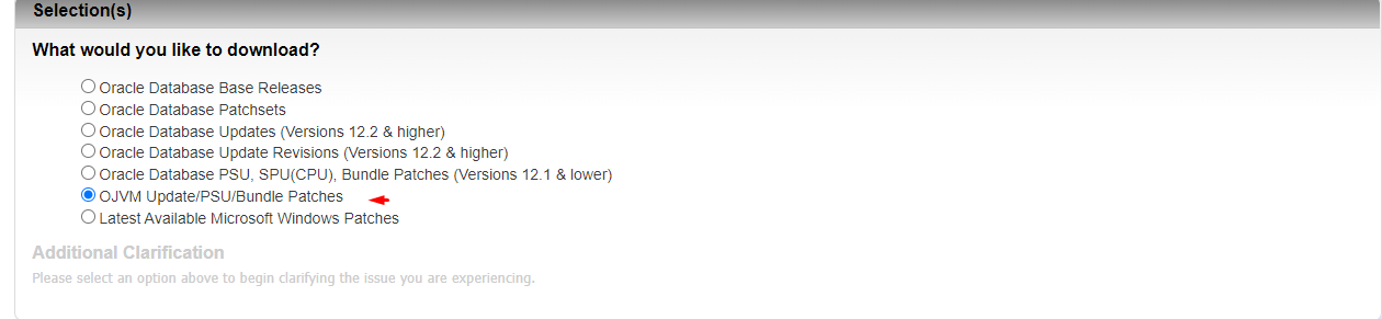 Patching An Oracle Database With Opatch Upgrade 193 To 1913 Ferdi
